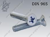 Argip Fasteners > Products